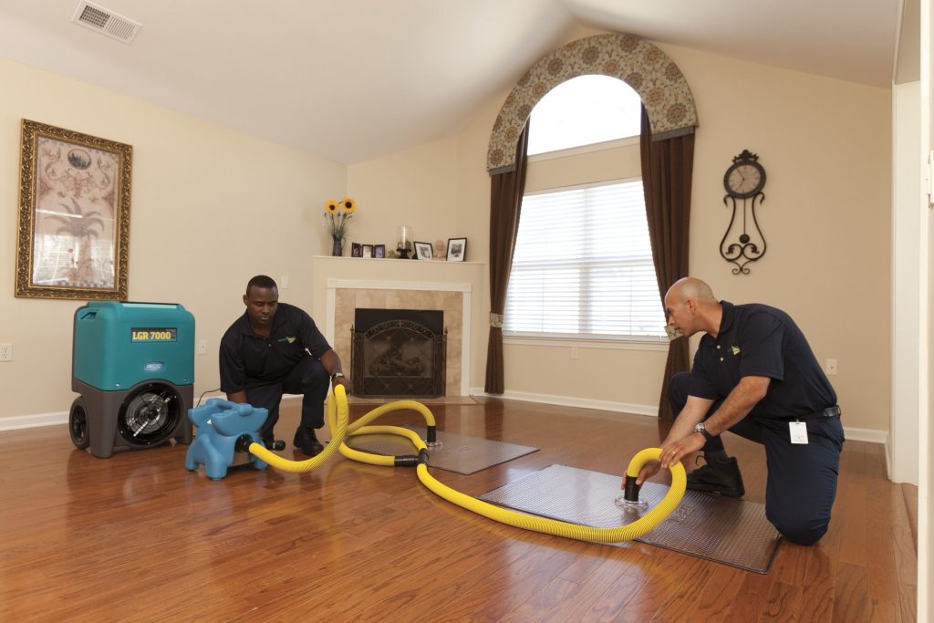 Preventing Water Damage and Choosing Professional Restoration Services ...